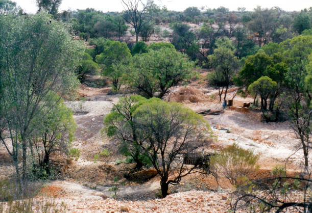 Exploring the World of Opal Prospecting in Lightning Ridge - Star ...